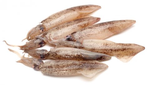 Receta de Chipirones rellenos de arroz y jamón