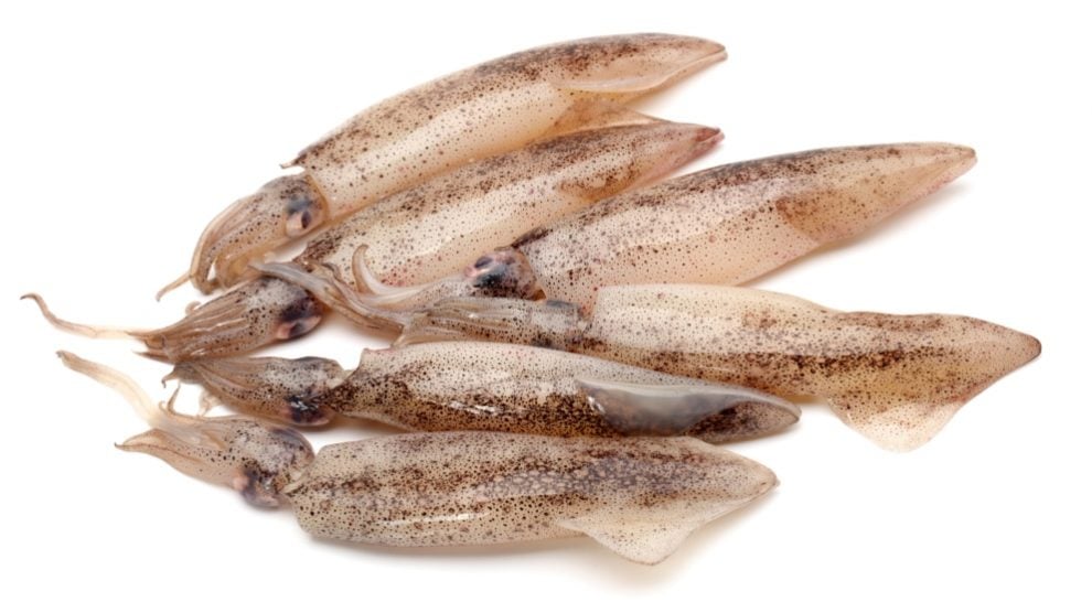 Receta de Chipirones rellenos de arroz y jamón