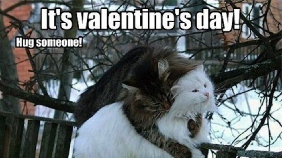 Los memes más graciosos de San Valentín