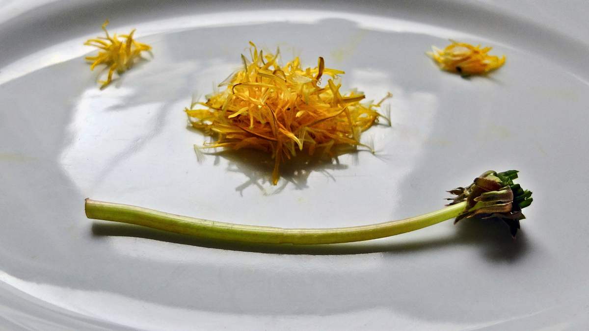 Papa hash brown, la receta que revoluciona tu desayuno