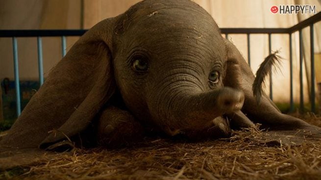 ‘Dumbo’: ¿Hay escena post-créditos? ‘Dumbo’: ¿Hay escena post-créditos?