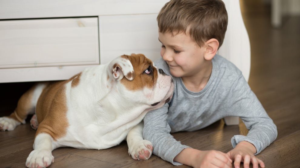 Perros: Las mejores razas para niños