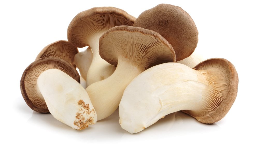 Receta de Setas de cardo con ajo y perejil