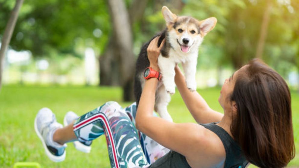 Cómo practicar el doga o yoga para perros de forma fácil