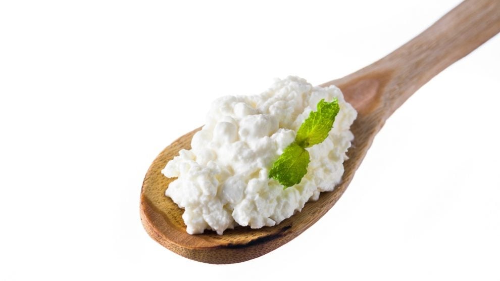 Recetas con ricotta: delicias cremosas y fáciles de preparar