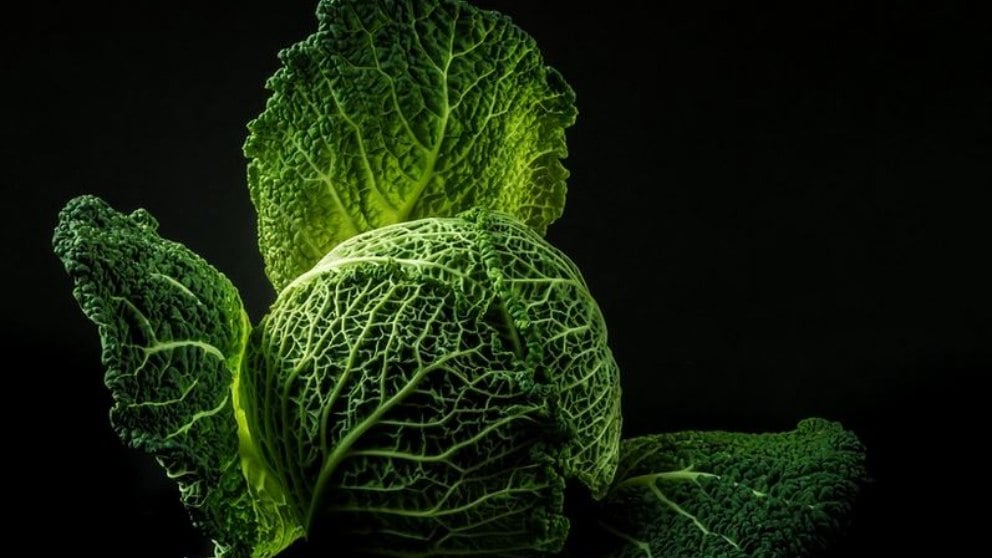 Beneficios de las crucíferas