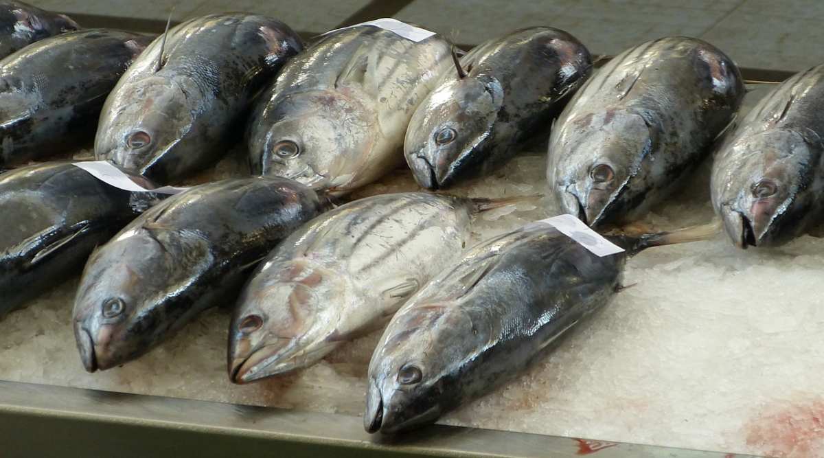 Receta de Ensaladilla de melva