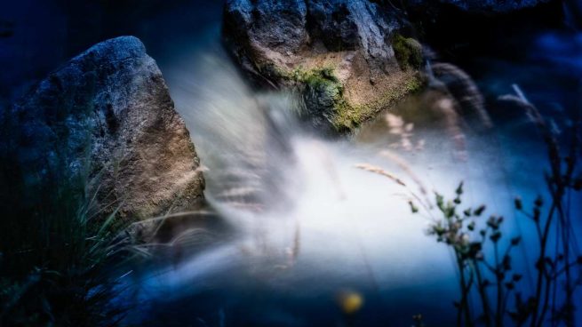 ¿Tienes neofobia? Conoce los síntomas y causas