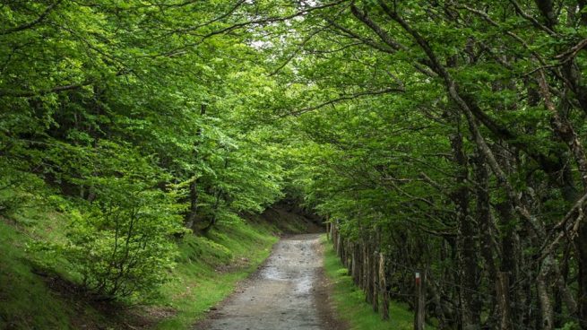 Efemérides del 11 de enero de 2020: ¿Qué pasó el 11 de enero?