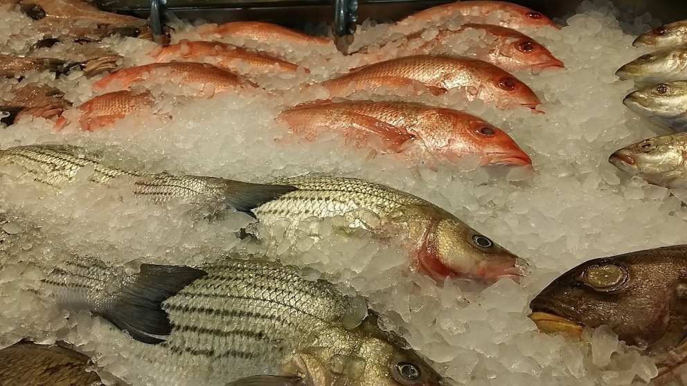 Receta de carpa en salsa verde