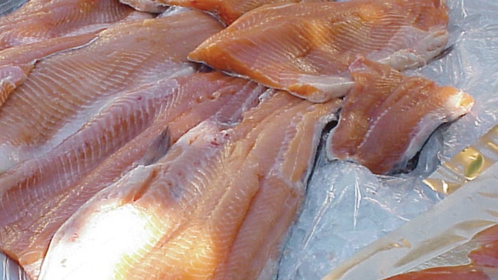 Receta de filetes de trucha al microondas