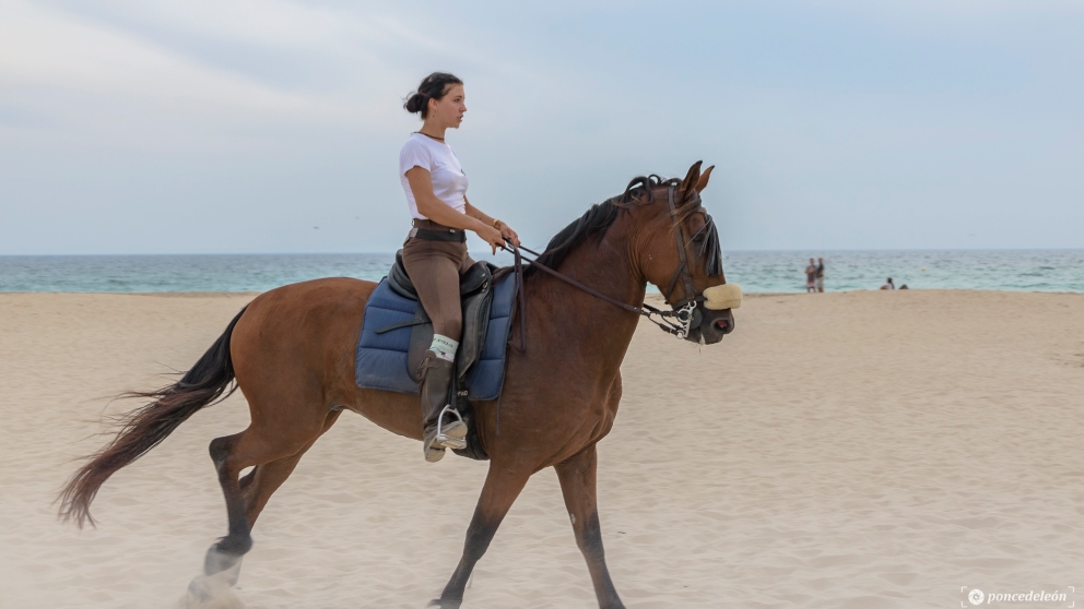 ¿Son legales los paseos en caballo por la playa?