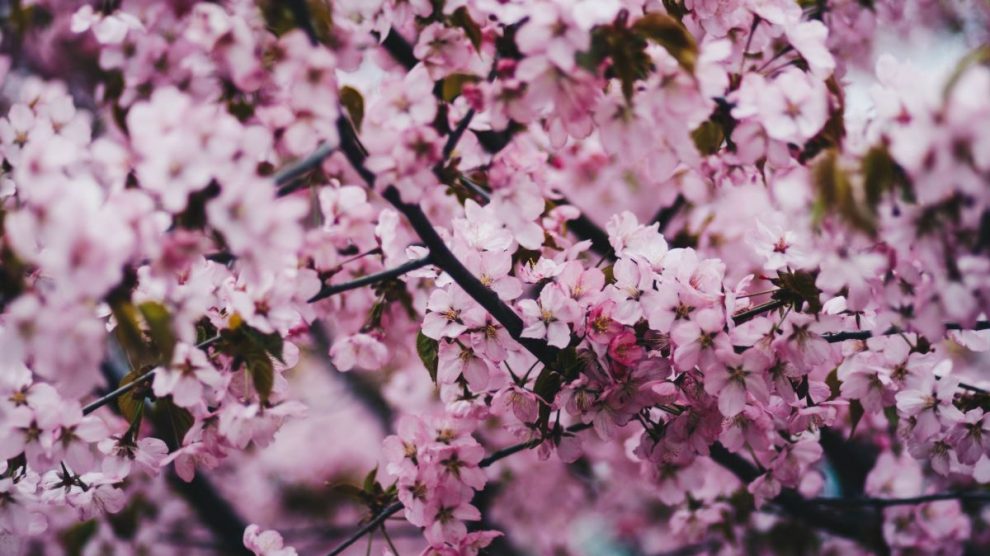 Efemérides del 28 de marzo de 2020: ¿Qué pasó el 28 de marzo?