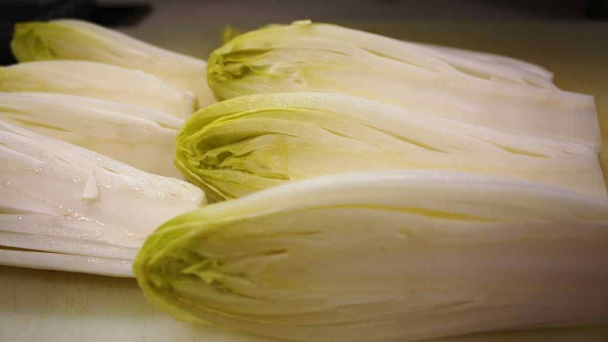 Recetas con endivias: 7 formas originales de convertirlas en el plato ...