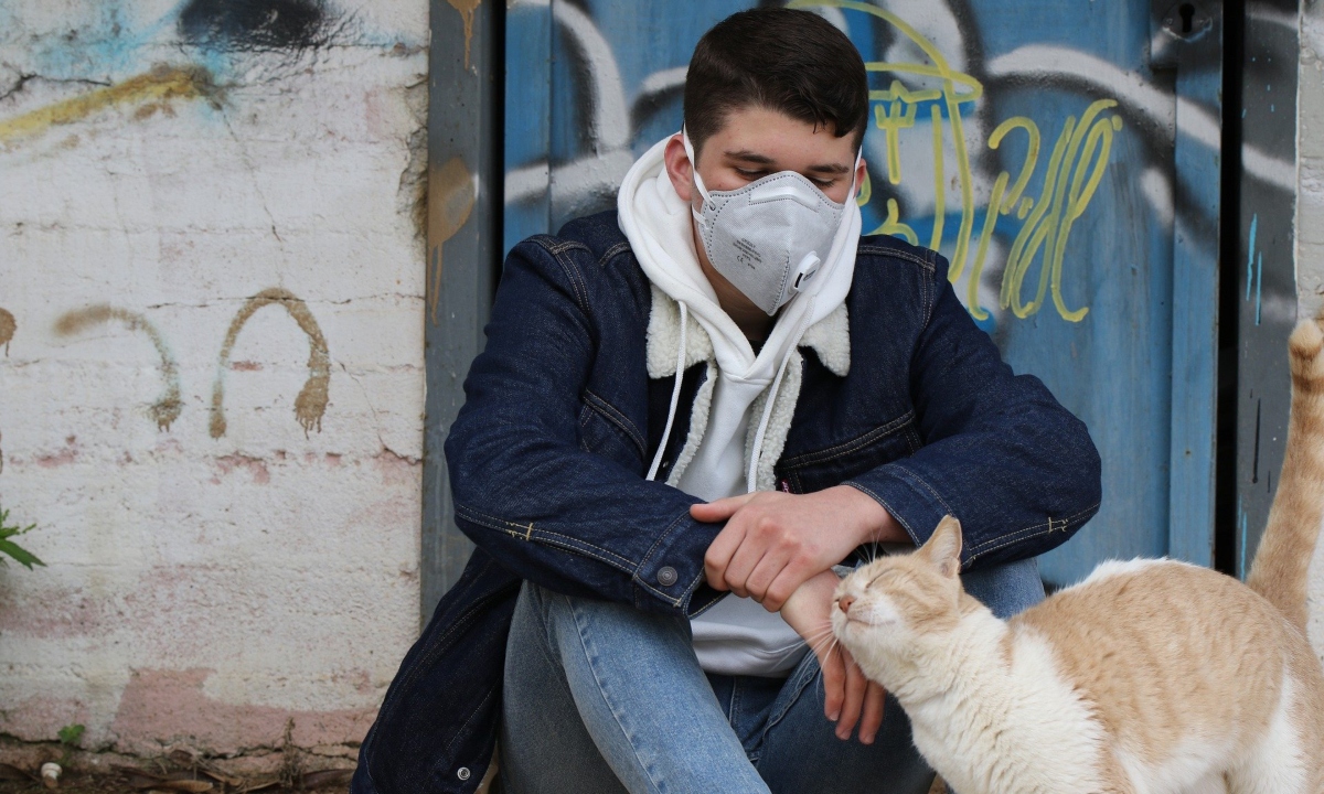 Los gatos y el coronavirus, ¿qué relación hay?