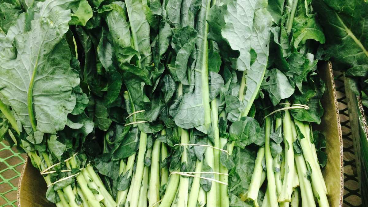 Garbanzos con acelgas al estilo Arguiñano: receta tradicional