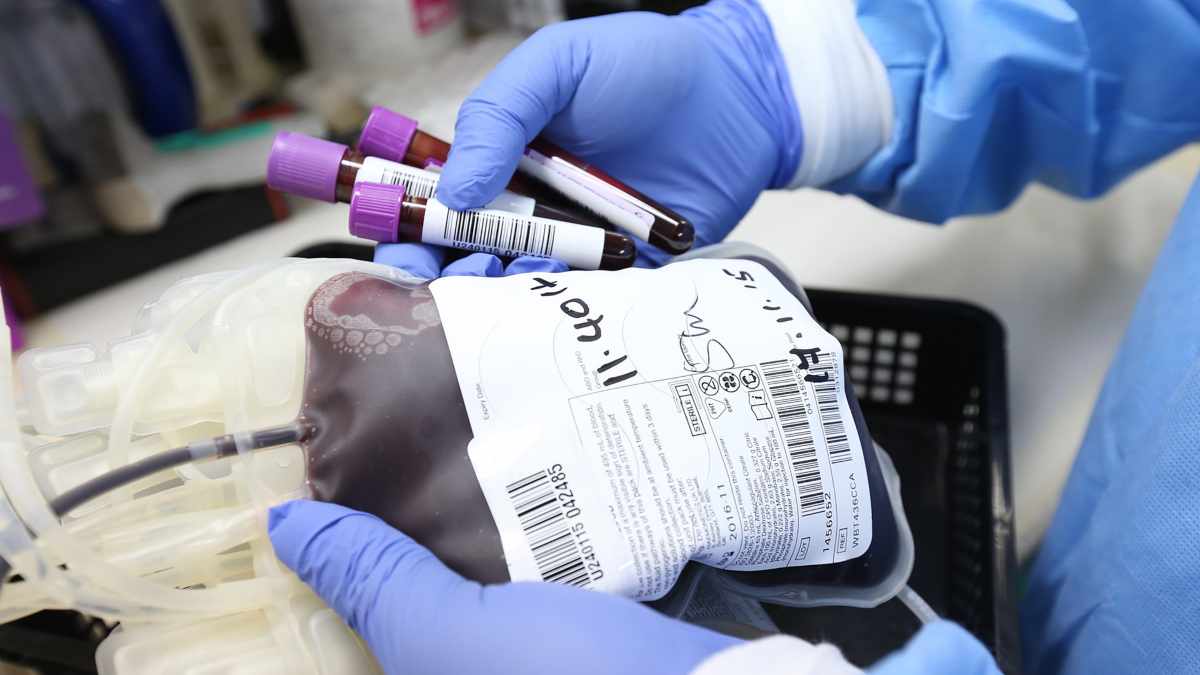 Consejos sobre la transfusión de plasma Consejos sobre la transfusión de plasma