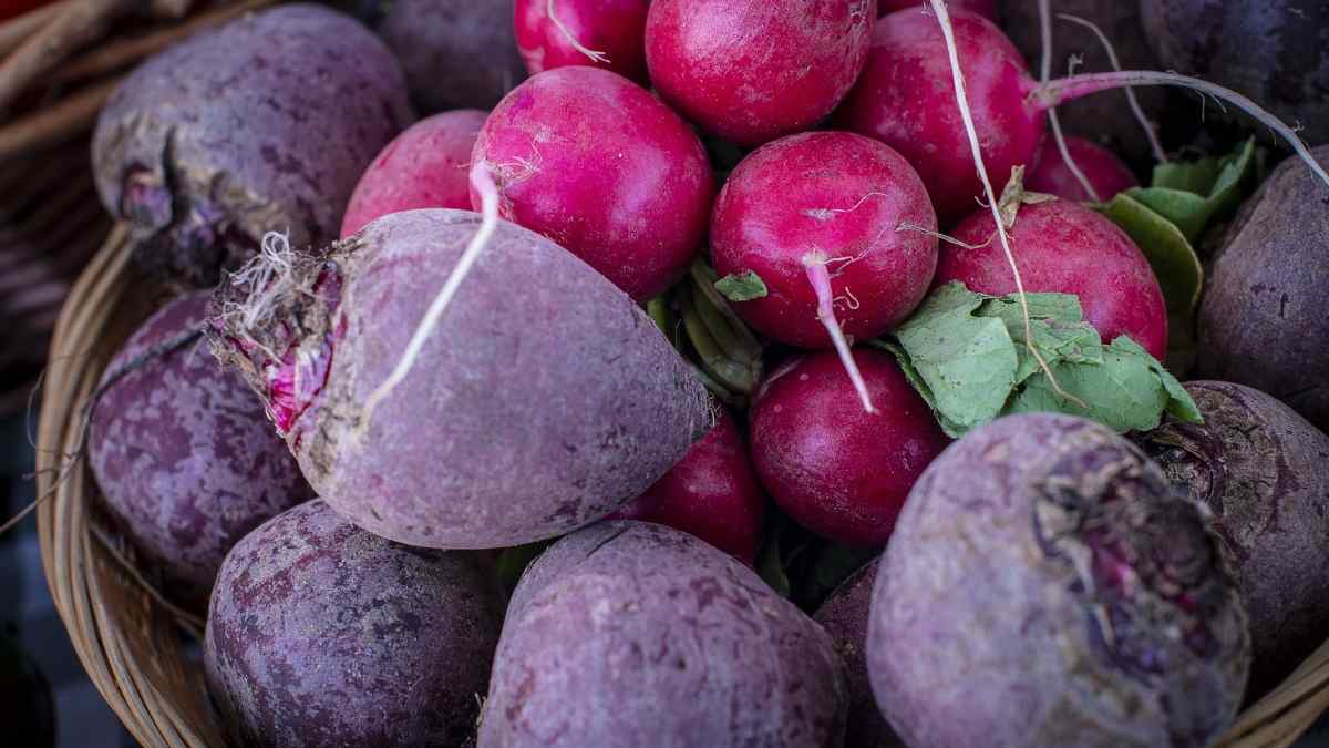 Antocianinas: ¿por qué son tan saludables y dónde se encuentran?