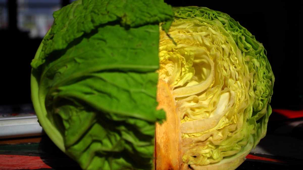 Receta de repollo encurtido