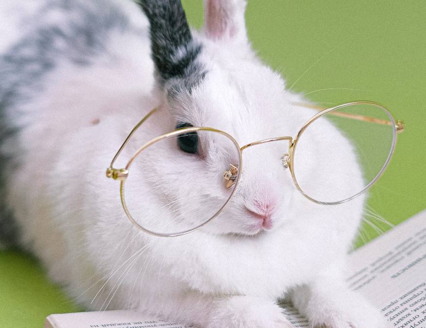 Mascotas en Okdiario | Página 3