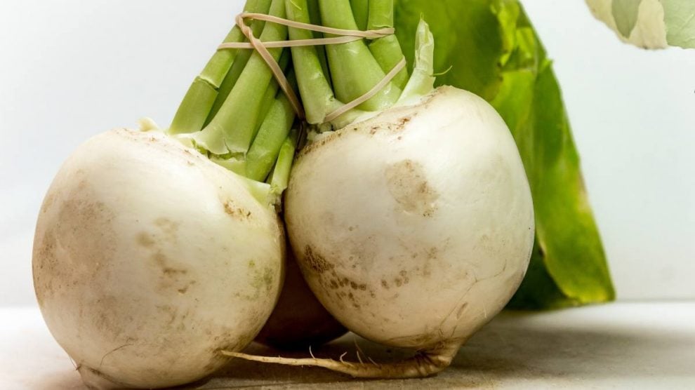 Receta de nabo encurtido