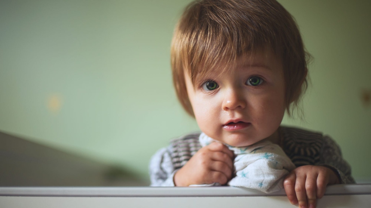 El dengue en niños, lo que hay que saber El dengue en niños, lo que hay que saber