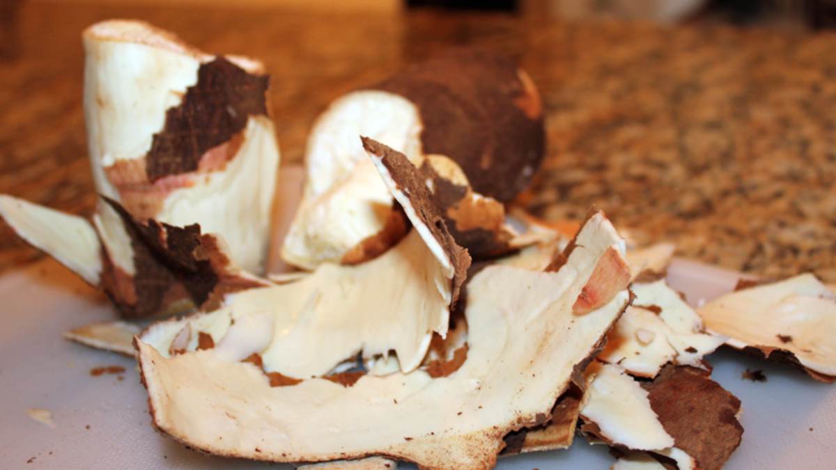 Receta de Crema caribeña de yuca