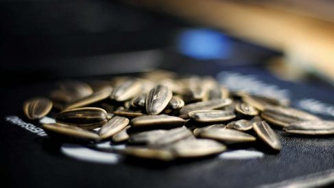 Receta de pipas tijuana saludable