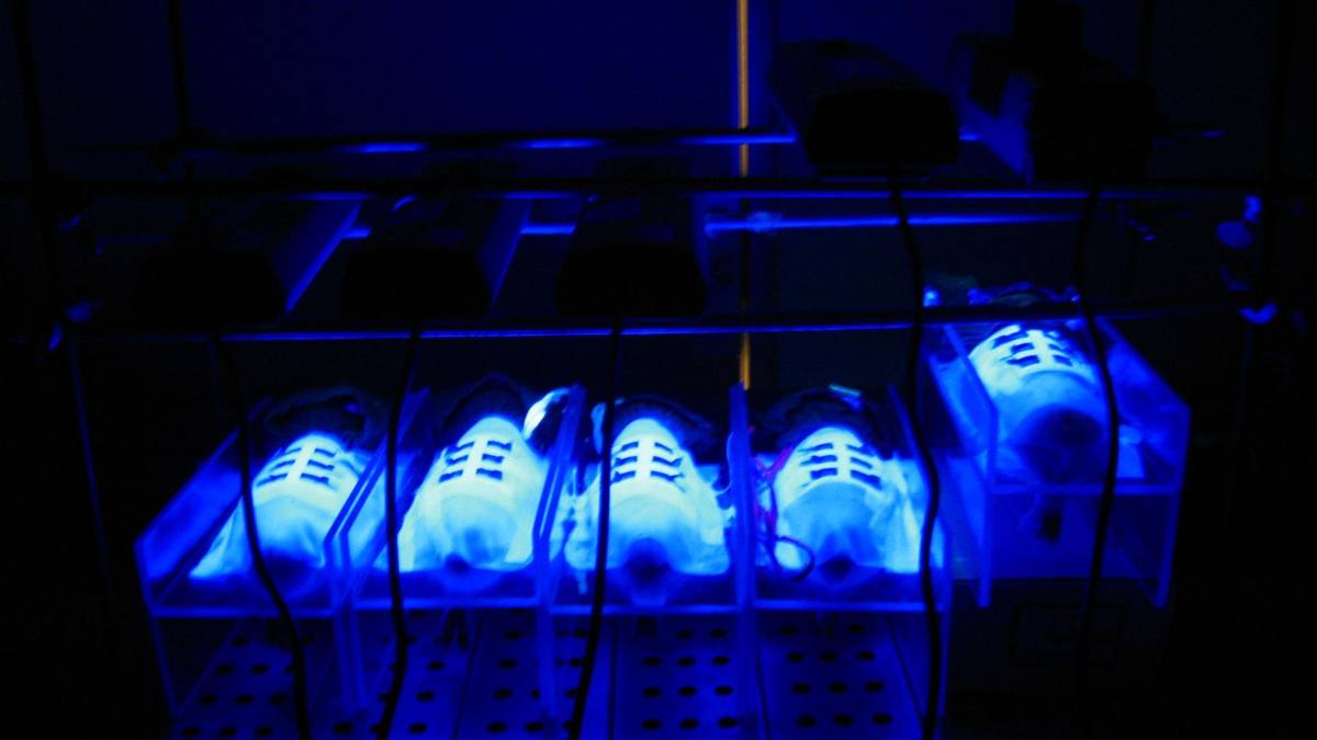 ¿Qué es la luz ultravioleta y para qué sirve?