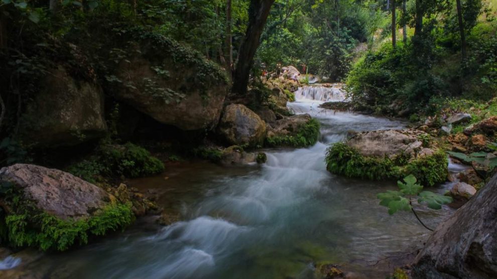 ¿Qué es una zona de reserva ambiental?