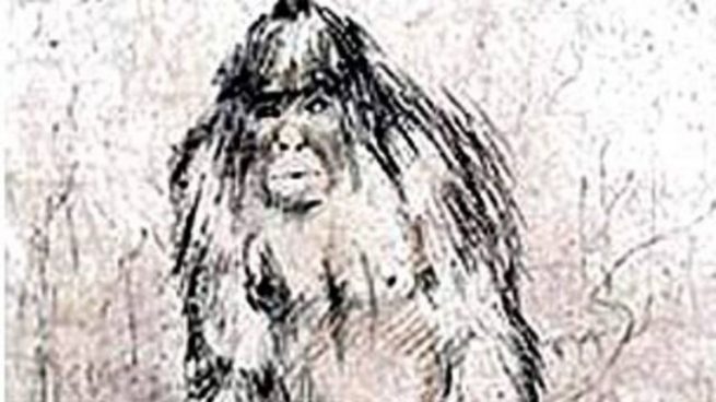 ¿Existe el Yeti?: Esto es lo que se ha investigado sobre él