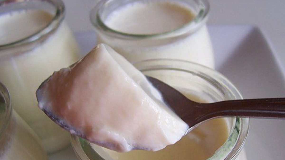 ¿Sabes lo que es el bífidus y qué beneficios aporta?