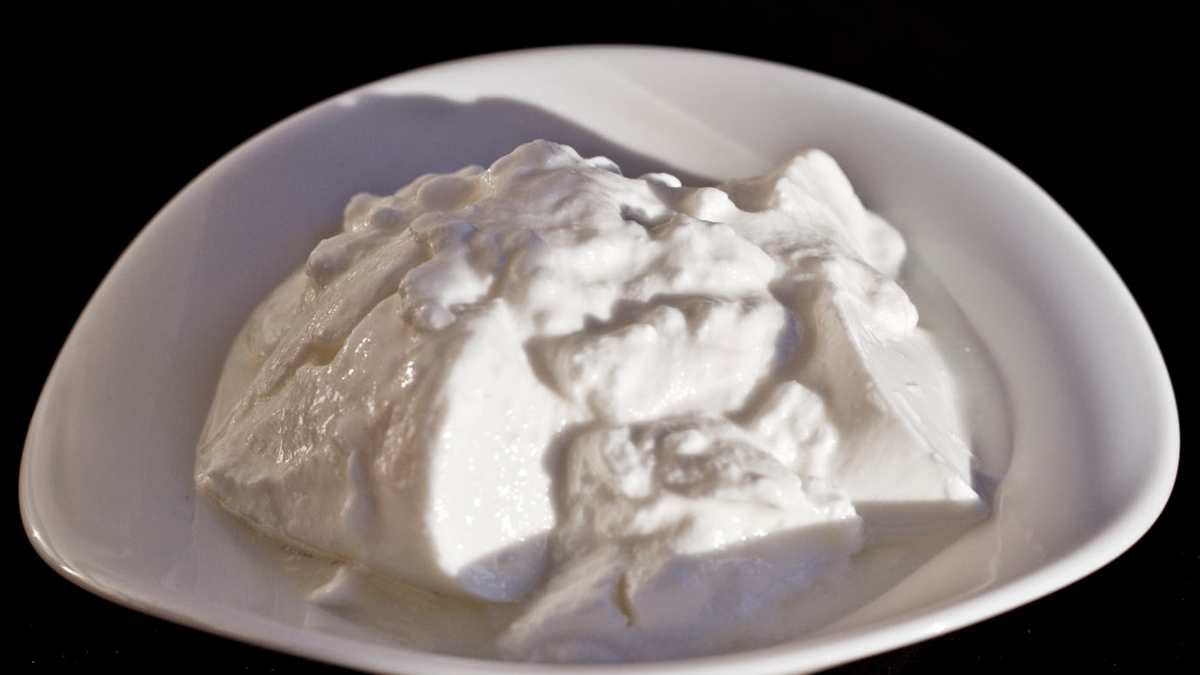 ¿Sabes lo que es el bífidus y qué beneficios aporta?