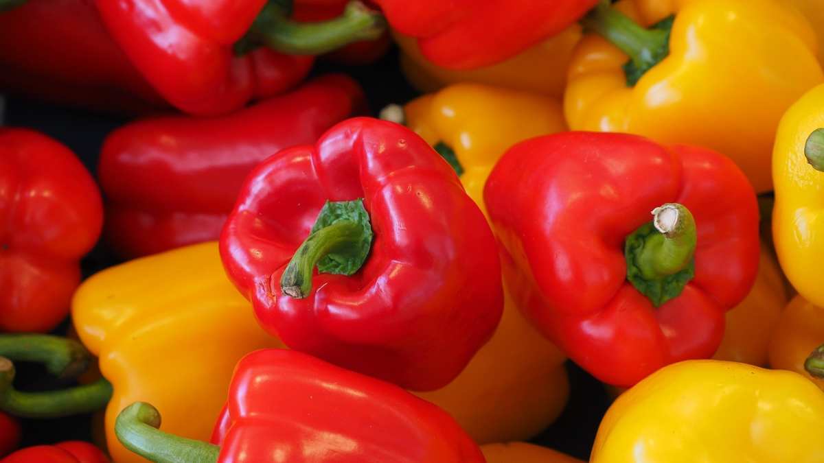 ¿Por qué el pimiento rojo no puede faltar en tu dieta?