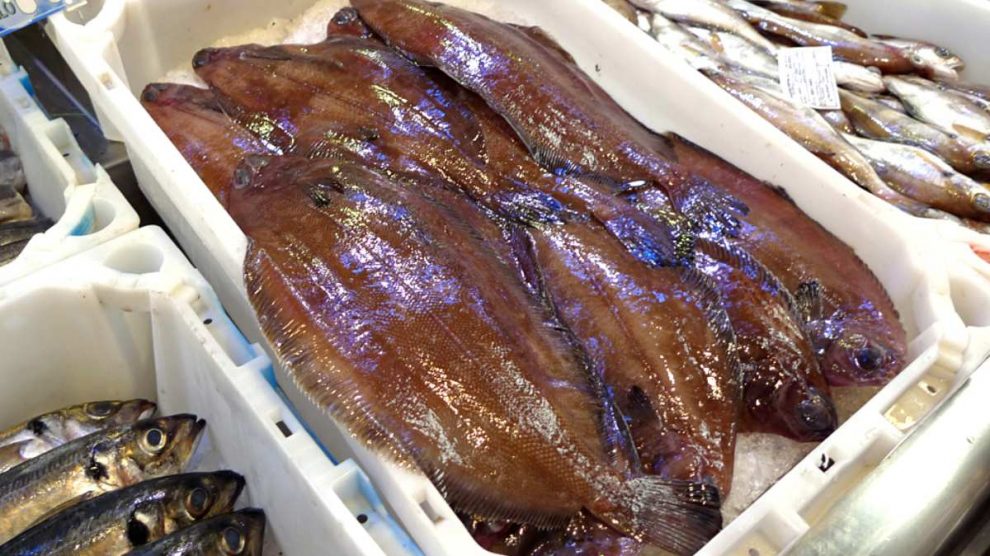 Pescado blanco: Lista de pescados y propiedades