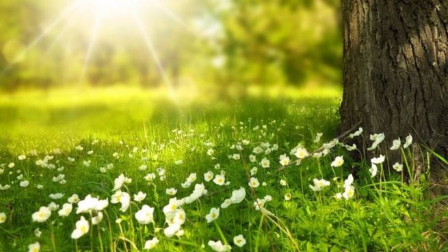 Curiosidades del mes de marzo para darle la bienvenida