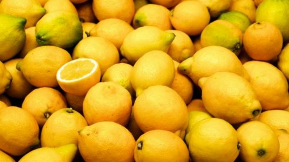 Este es el truco definitivo para eliminar el mal olor del cubo de la basura - danruilo