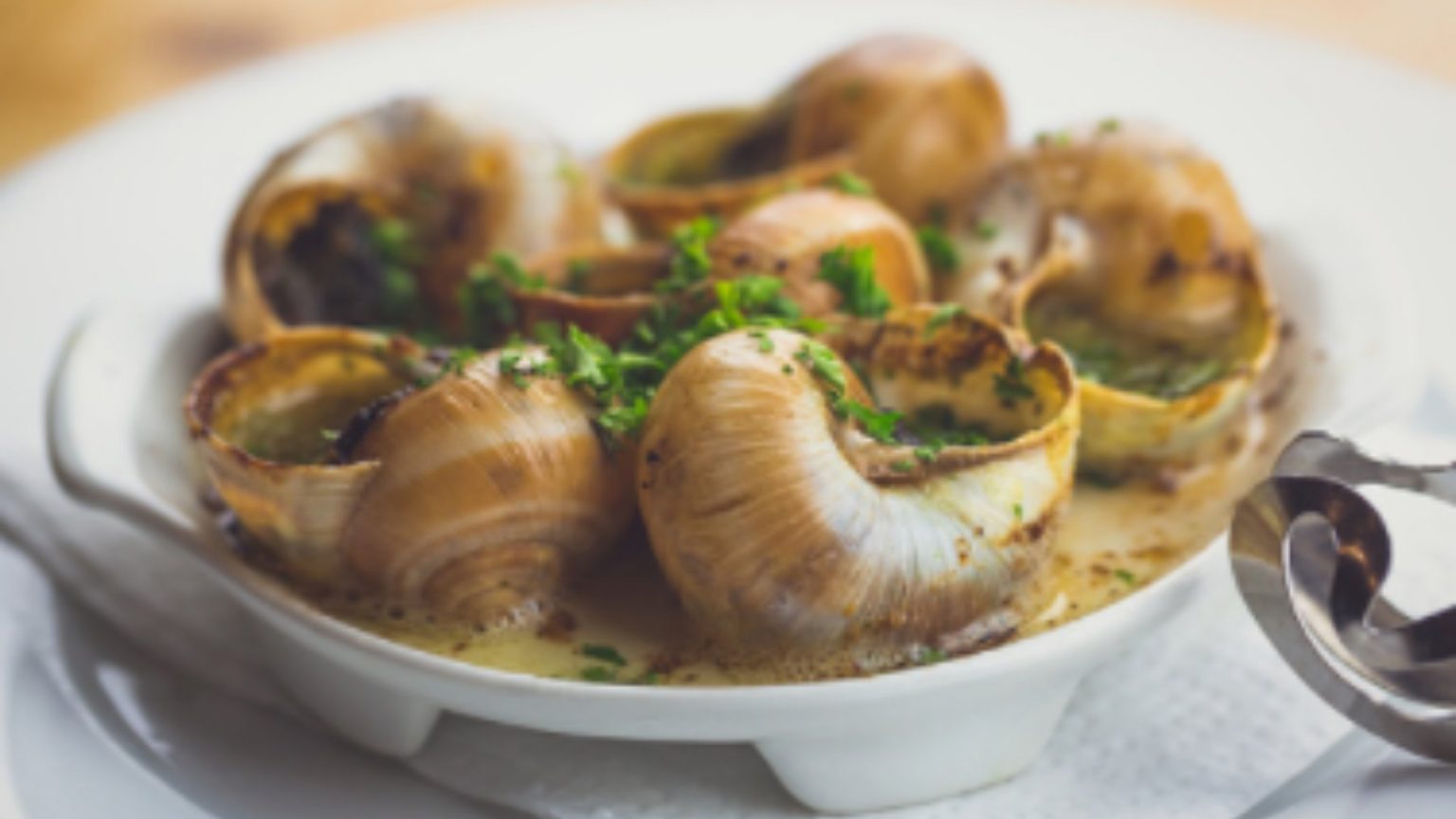 5 recetas de caracoles para descubrir los sabores más tradicionales