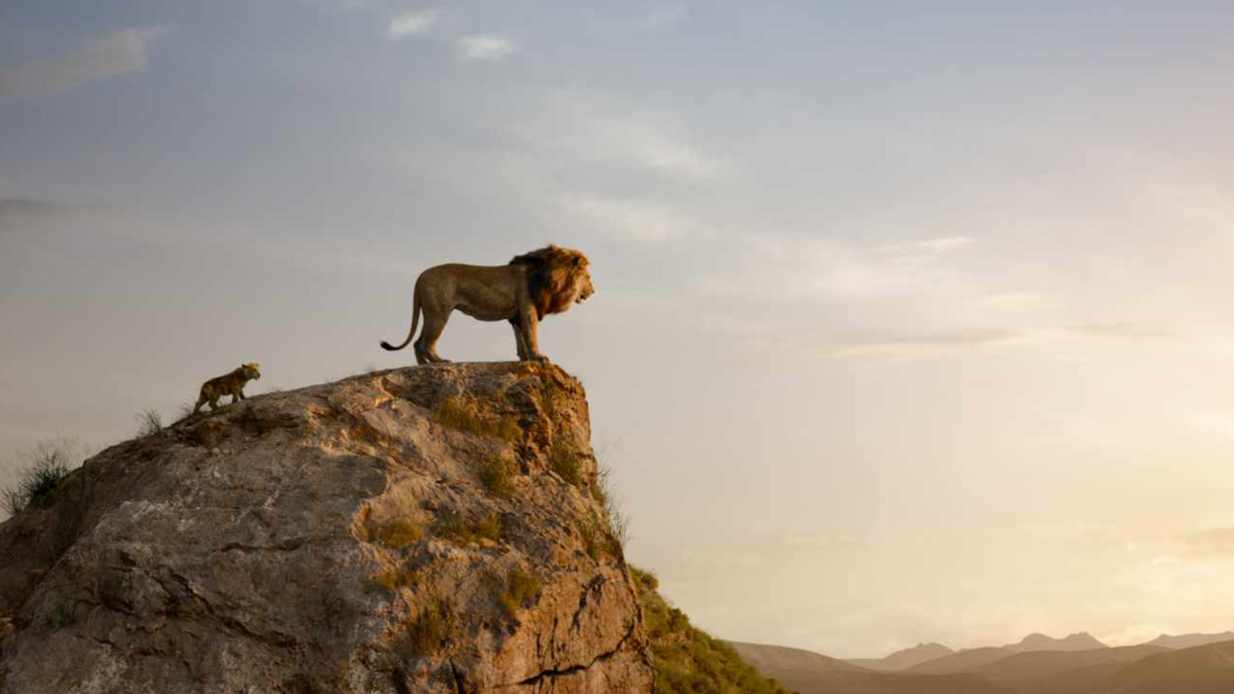 Disney confirma el casting para su precuela de “El Rey león”