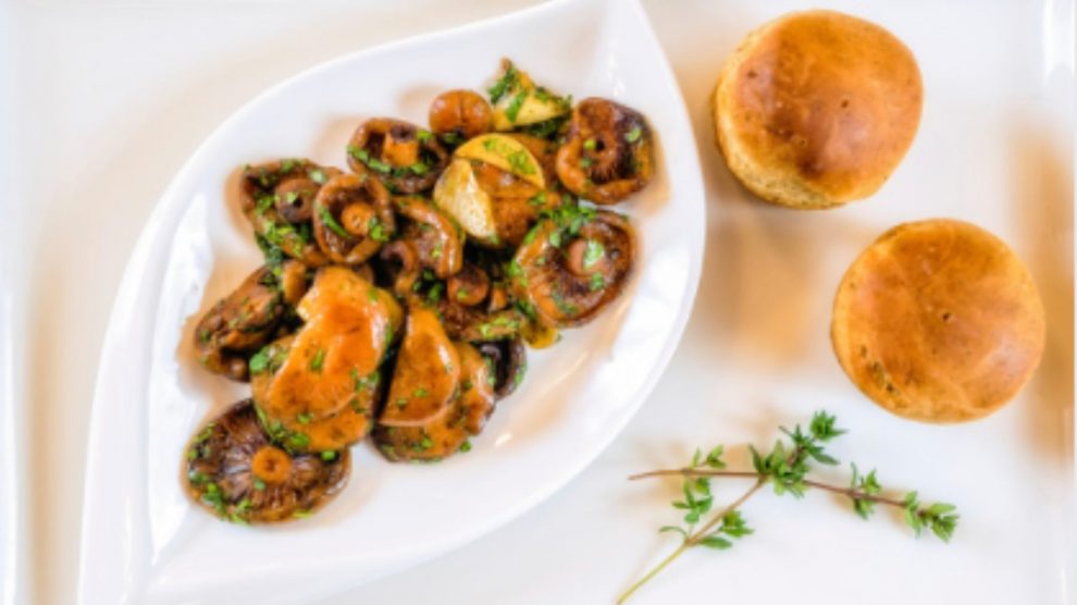 Recetas con setas: ideas fáciles y sabrosas para cada ocasión