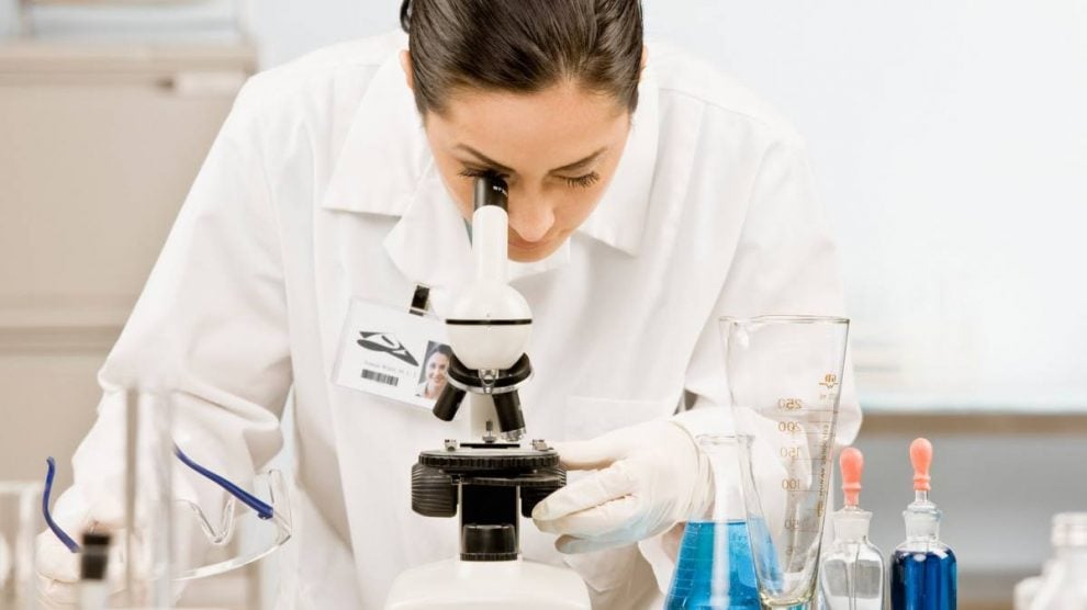 Un microscopio inteligente mejora las observaciones de células vivas