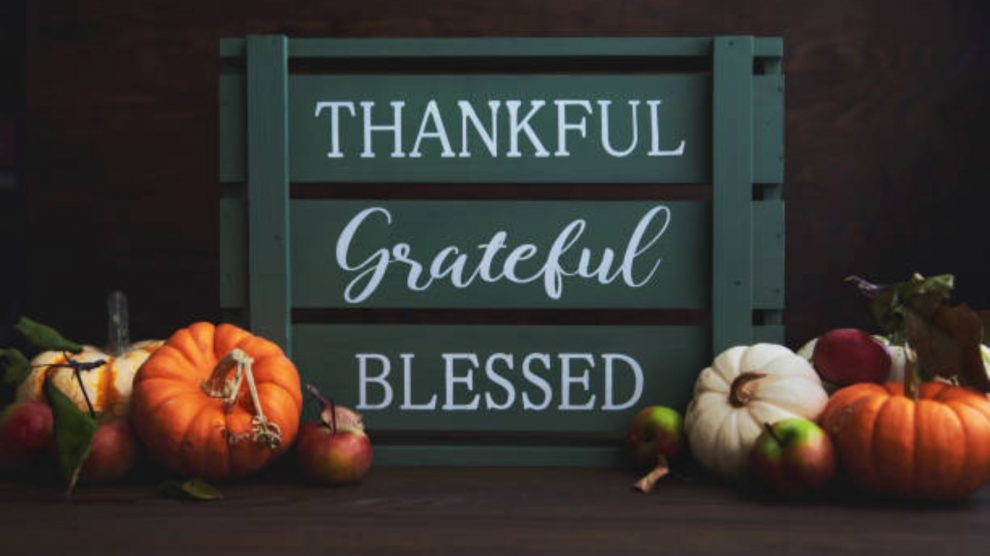 ¡Feliz Día de Acción de Gracias! Las mejores frases e imágenes para ...