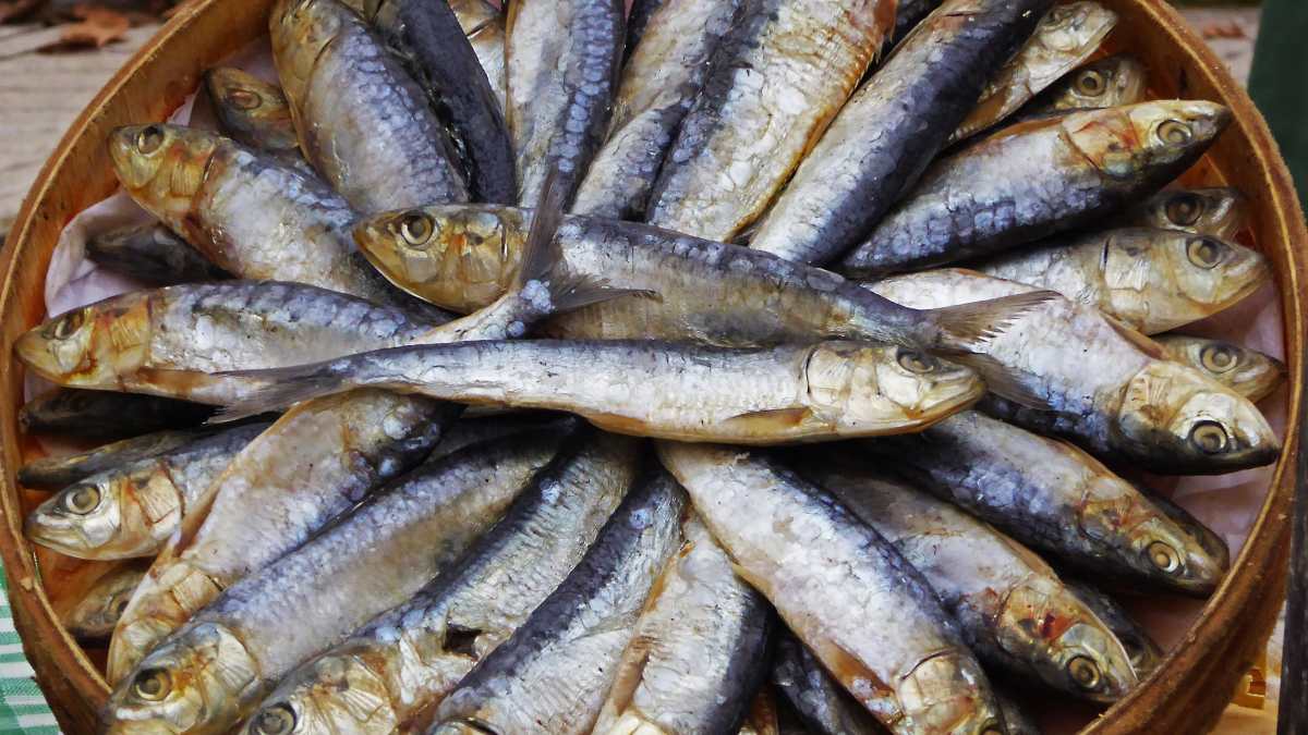 Arenque con tomate, receta noruega