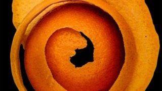 Mexicana crea plástico biodegradable con cáscaras de naranja