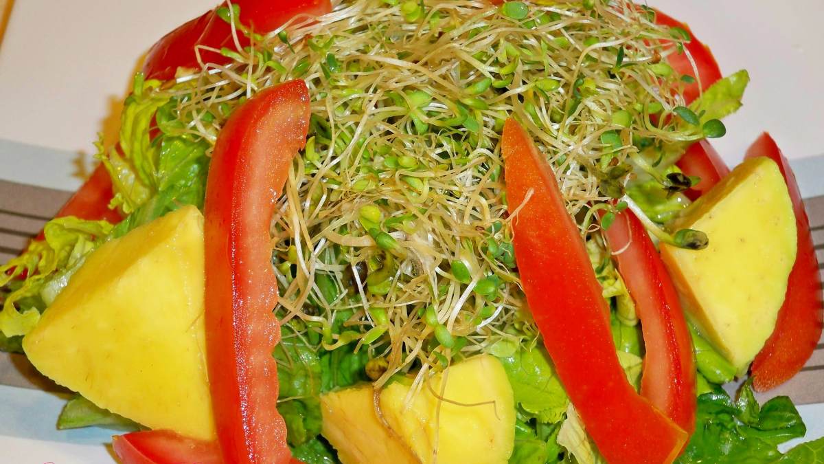 Ensalada de alfalfa con frutos secos