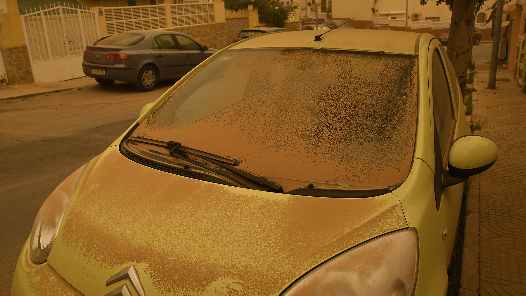 Todo lo que debes saber sobre la calima que ha cubierto España