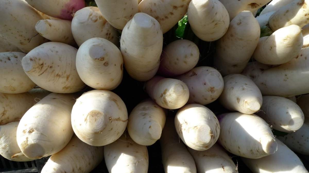 Pote de nabos, receta casera