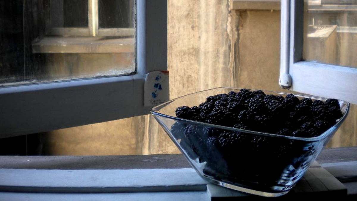 Receta de pato en salsa de moras
