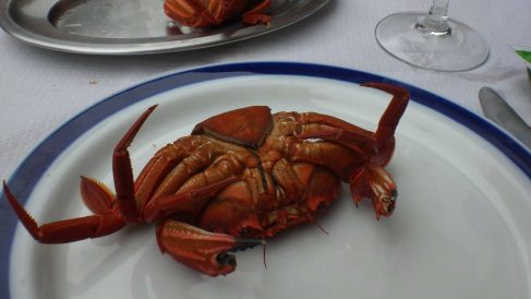 Cómo cocer nécoras paso a paso: tiempo y trucos
