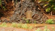 ¿Quiénes son los Menehune de Hawái?